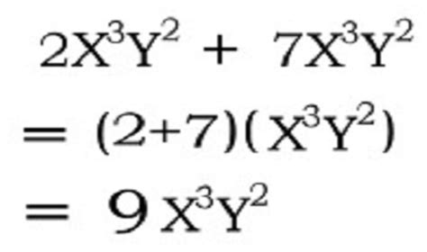 Ninth Grade Lesson Adding And Subtracting Monomials Worksheets Library