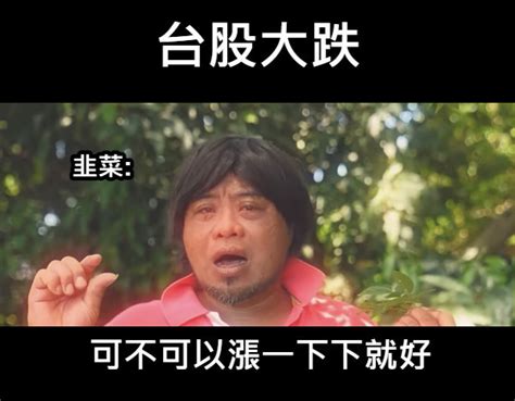 台股大跌 韭菜 可不可以漲一下下就好