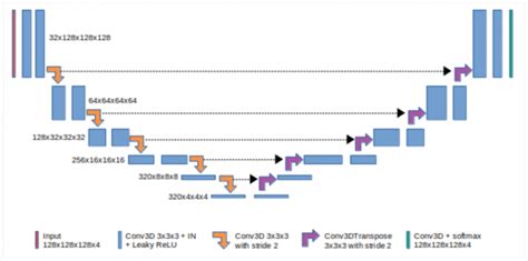 Building Medical 3d Image Segmentation Using Jupyter Notebooks From The Ngc Catalog Nvidia