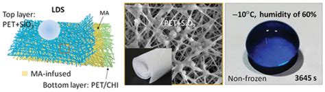 Antiicing Properties Of Bioinspired Liquid‐infused Double‐layer Surface With Internal Wetting