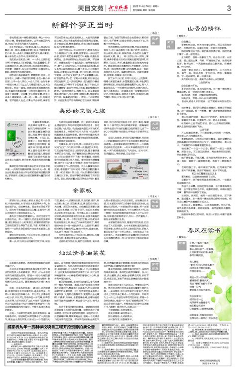 灿烂清香油菜花 今日临安