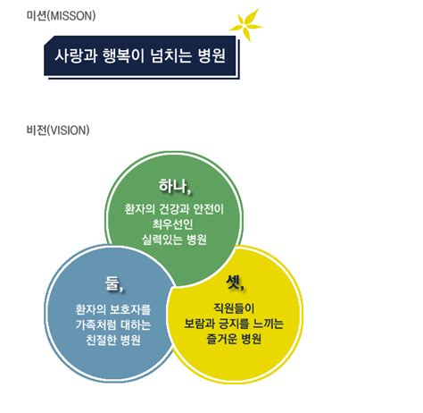 미션과 비전 메이플요양병원