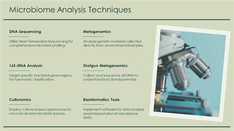 Top 10 Bmi Powerpoint Presentation Templates In 2025 Top 10 Bmi Powerpoint Presentation Templates In 2025