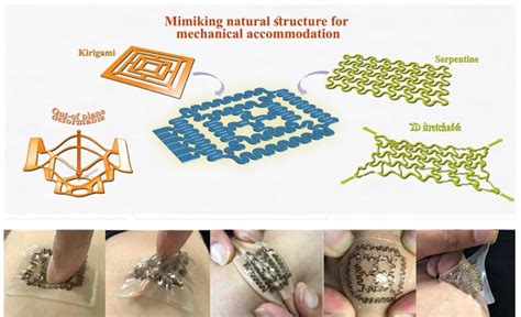 A Sensor To Detect Human Body Conditions In Real Time