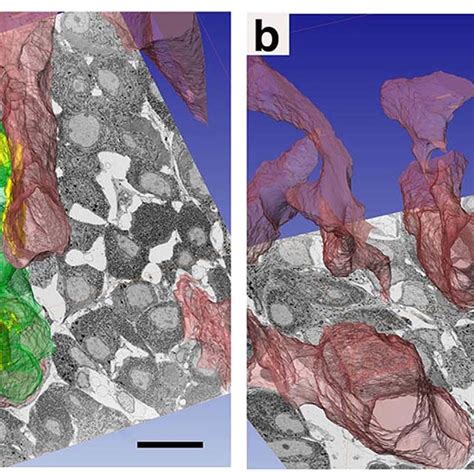 Sem Image Of One Section Of An Fib Milled Grating Pattern Fib Milling Download Scientific
