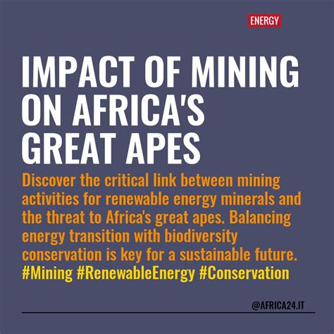 Impact Of Mining On Africas Great Apes Africa24it