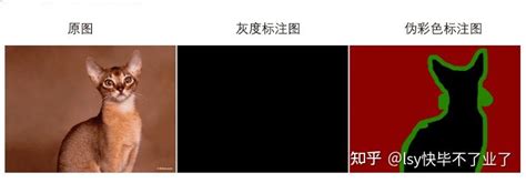 Paddleseg分割流程 知乎