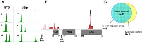 Figure 1 From Prevalence And Prognostic Implications Of Cebpa Mutations In Pediatric Acute