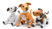 Ers 1000 Aibo Wiki