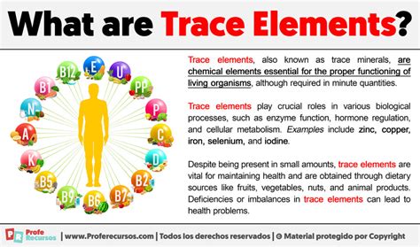 What Are Trace Elements