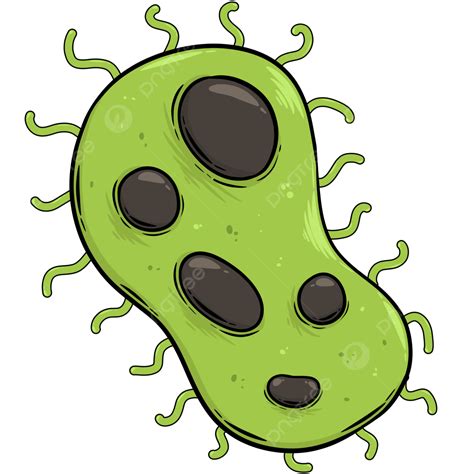 박테리아 박테리아 박테리아 세포 세균 Png 일러스트 및 Psd 이미지 무료 다운로드 Pngtree