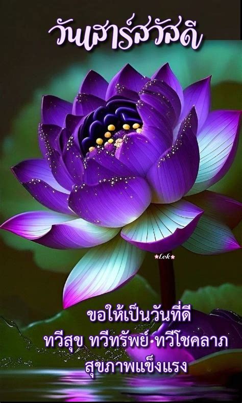 วันเสาร์ สวัสดี ในปี 2023 การถ่ายภาพดอกไม้ สวัสดีตอนเช้า ภาพตลกเด็กน้อย