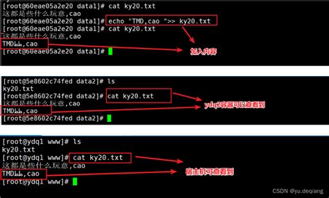 【docker】数据卷和数据卷容器 Csdn博客