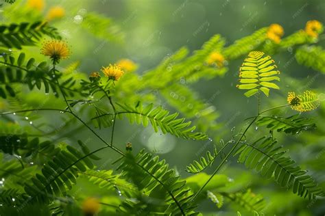 Creating Buffer Zones Around Sensitive Plant Habit Generative Ai Premium Ai Generated Image