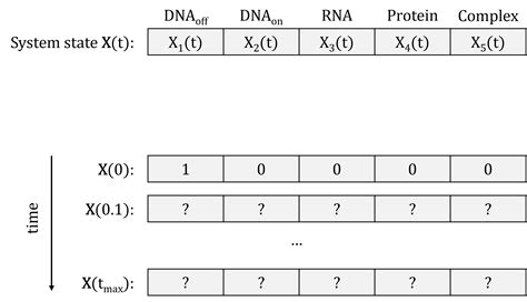 1 Introduction Scaling Gene Regulatory Networks Simulations