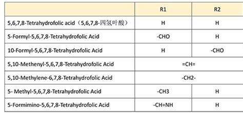 叶酸的结构和种类