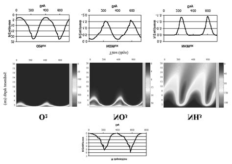 5 Spatio Temporal Plots Of Oxygen Nitrate And Ammonium In The Sediment Download Scientific