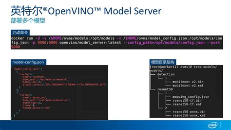 基于intel openvino model server的推理部署及案例分享