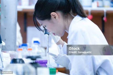 임상 실험실에서 연구를 만드는 아시아 여성 과학자 과학 화학 기술 생물학 개념 Dna에 대한 스톡 사진 및 기타 이미지 Dna Stem 주제 개념 Istock