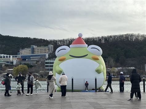 빛 가치를 같이 보다대구 수성구 빛예술제 9일 개막 파이낸셜뉴스