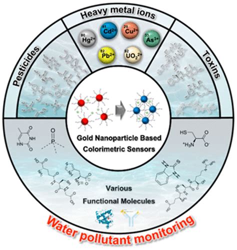 Gold Nanoparticles As Exquisite Colorimetric Transducers For Water Pollutant Detection Acs