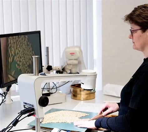 The Best Digital Microscope For Seed Identification Tagarno