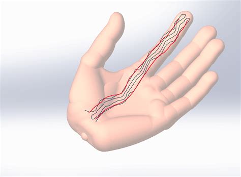 How To Draw Curves Adhered To Complex Curved Surface Rhino Mcneel Forum