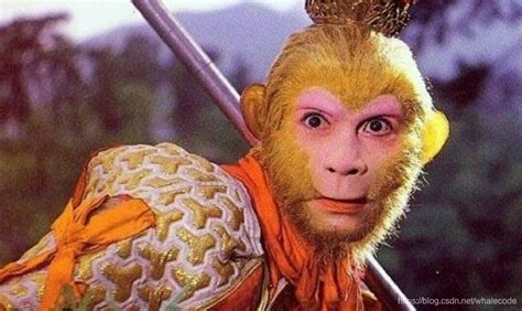 Python 变量标识符 变量命名规范 200307标记变量法python Csdn博客