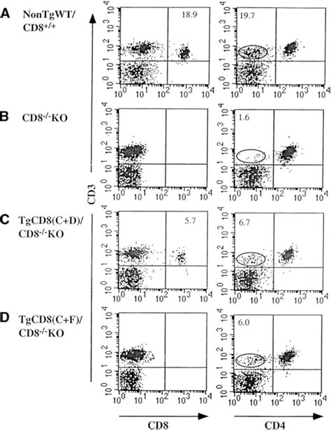 Three Color Flow Cytometry Of Peripheral T Lymphocytes Of Tgcd8αcf
