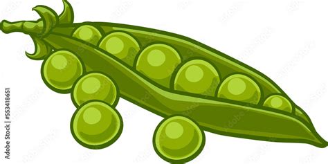 Peas Vegetable Cartoon Illustration Stock Illustration Adobe Stock