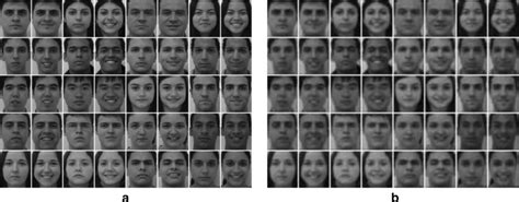 Set Of Test Input Images A HR Test Images B Counterpart LR Input Download Scientific Diagram