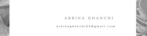 Arbina Ghanchi Full Stack Developer The One Web Technology Linkedin