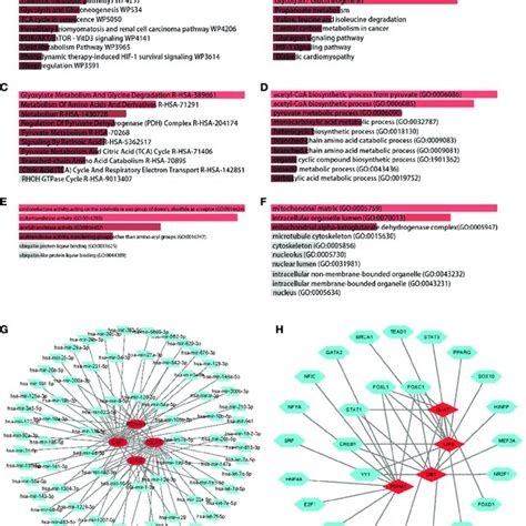 Determination Of Biological Functions And Gene Regulatory Pathway The Download Scientific