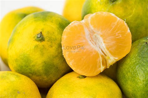 귤 귤 사진 무료 다운로드 Lovepik 귤 귤 사진 무료 다운로드 Lovepik