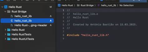 Ios Iosdevelopment Swift Swiftui Swiftlang Rust Dmitry В