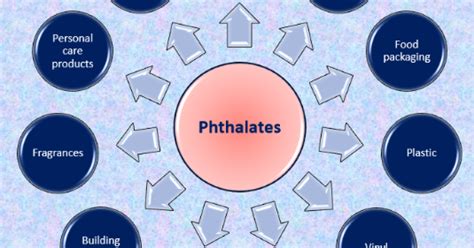 Phthalates Fda Center For Science In The Public Interest