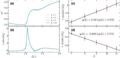 A Dissipation Induced Transverse Magnetization M Z As A Function Of J