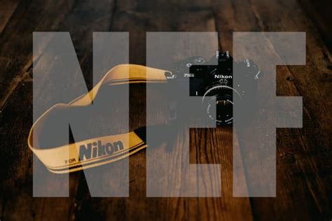 What Is A Cr2 File How To Open  Converters