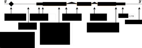 introduction illuminaconnectedannotations