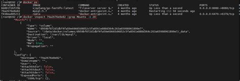 Docker启动mysql失败分析 墨天轮