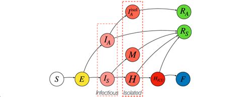 Compartments And Connections In The Modified Seir Model We Propose