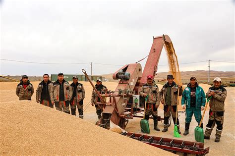 Хүнсний ногооны 40 1 хувийг хурааж аваад байна Хүнсний хувьсгал