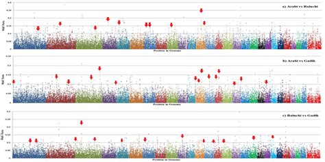 Distribution Of Selective Sweep Signatures For Different Comparisons In Download Scientific