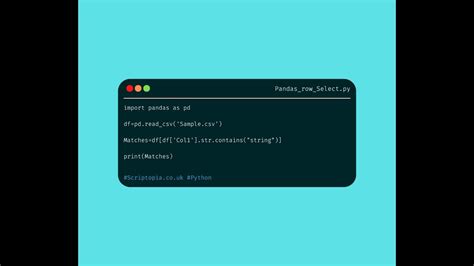 Python Pandas Select Rows Based On Partial String Matches Youtube