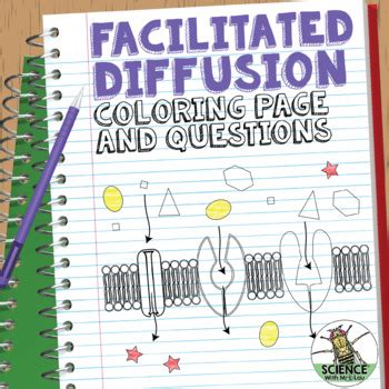 Cell Transport Facilitated Diffusion Coloring Page And Application Questions