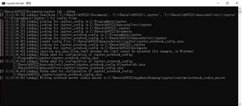 Stuck When Starting Jupyter Lab Issue Jupyterlab Jupyterlab Github