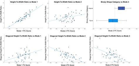 Frontiers Use Of Statistical Shape Modeling To Enhance The Fluoroscopic Evaluation Of The Bladder