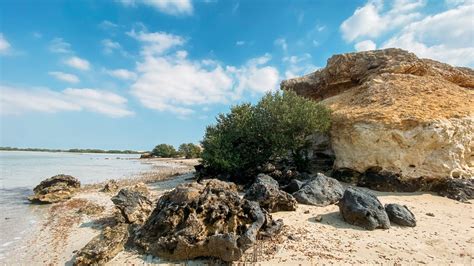Pandas Guide To Visiting Purple Island In Qatar