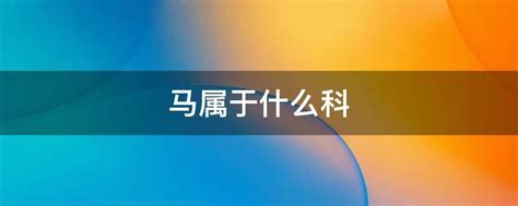 马属于什么科什么属什么种 马属于什么科 小知识 傻大方